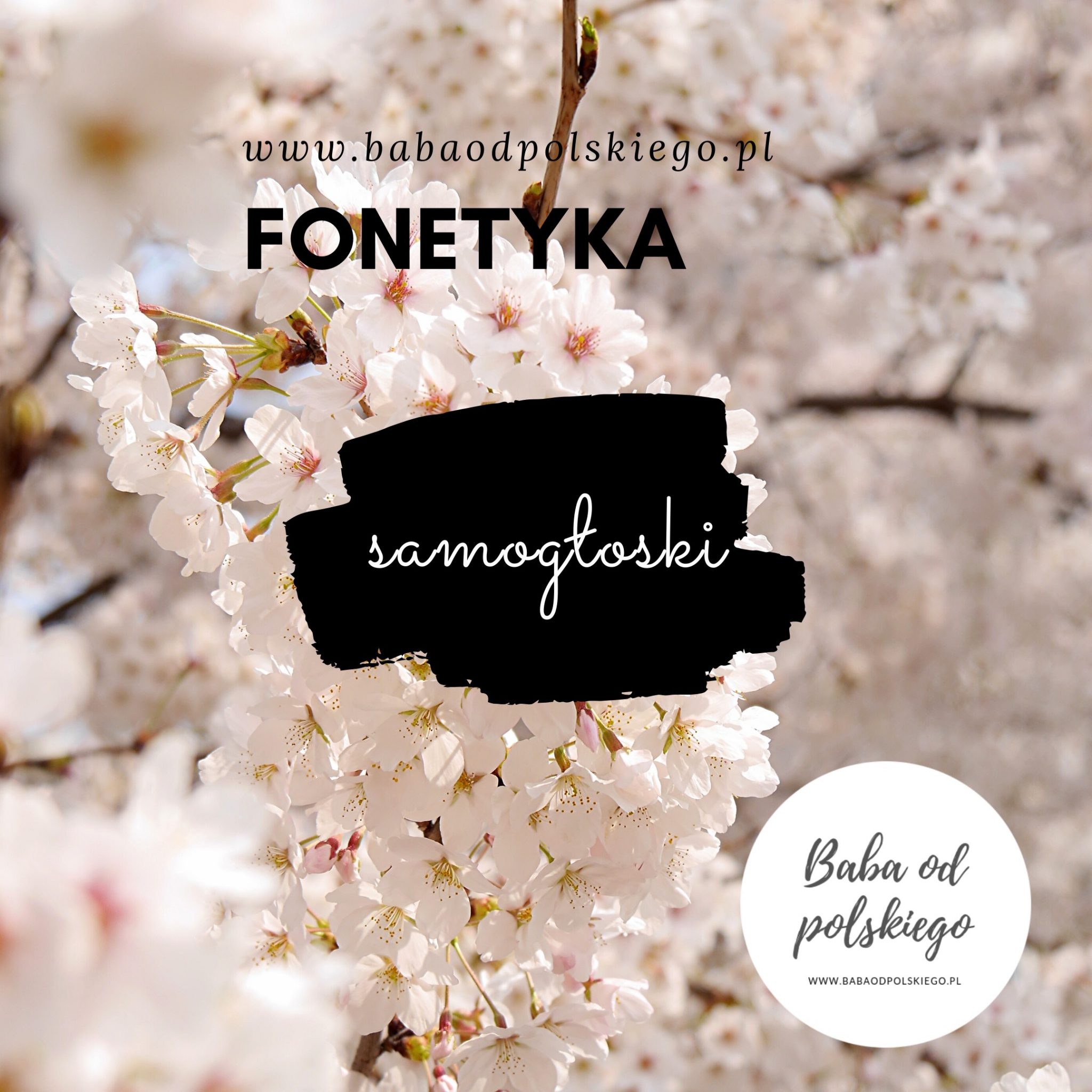 samogłoski - Baba od polskiego